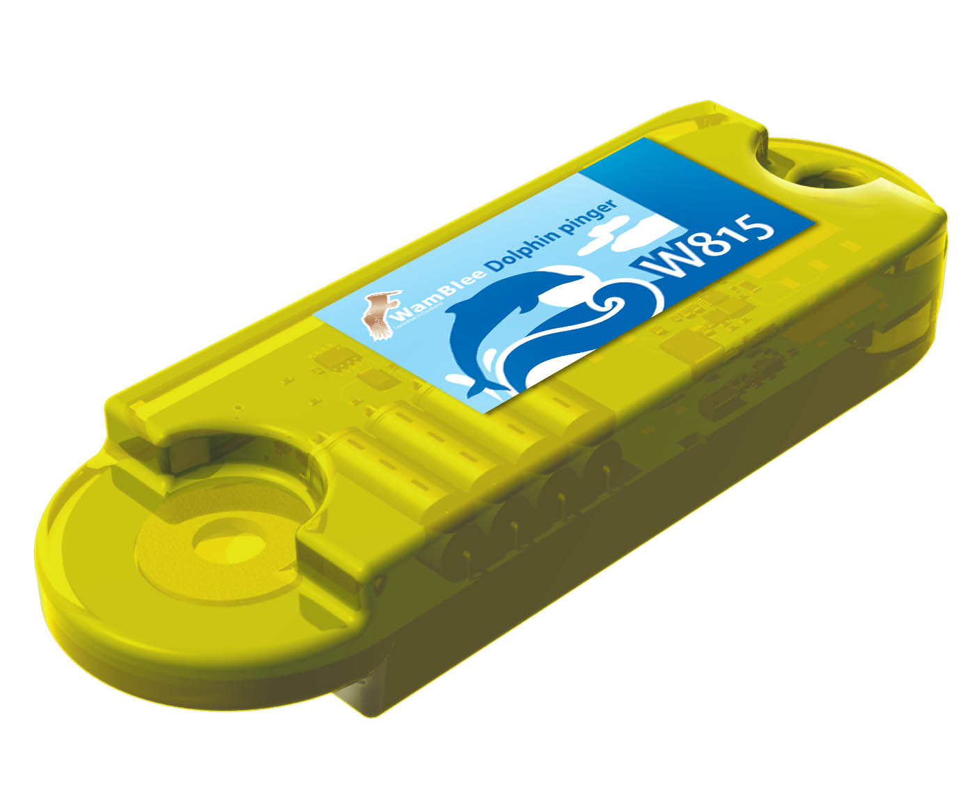 W815 Dolphin Pinger - Marine Rescue Technologies